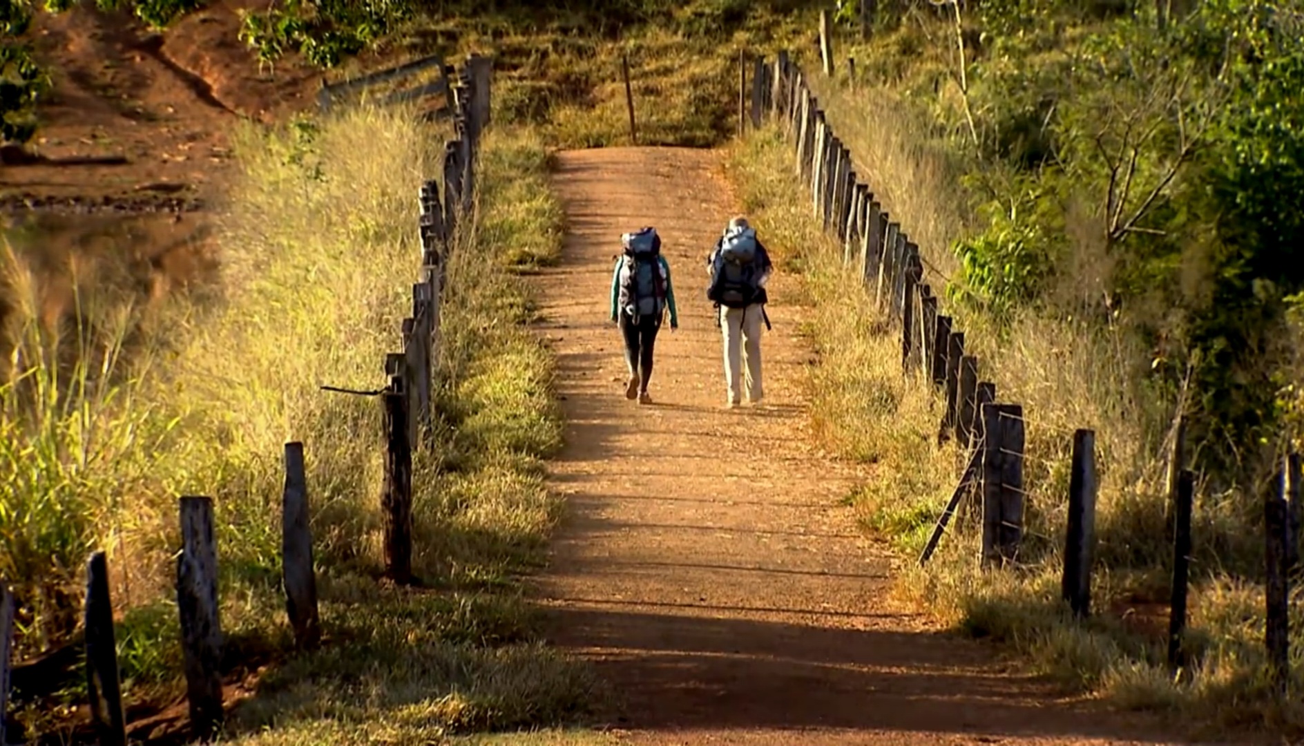 Os discretos caminhos de Cora Coralina | Observatório da Imprensa